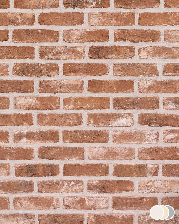 Blend 3 | Rustic Red Multi Brick Slips – The Brick Tile Company
