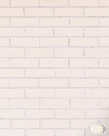 Blend 51 | Smooth White Brick Slips – The Brick Tile Company